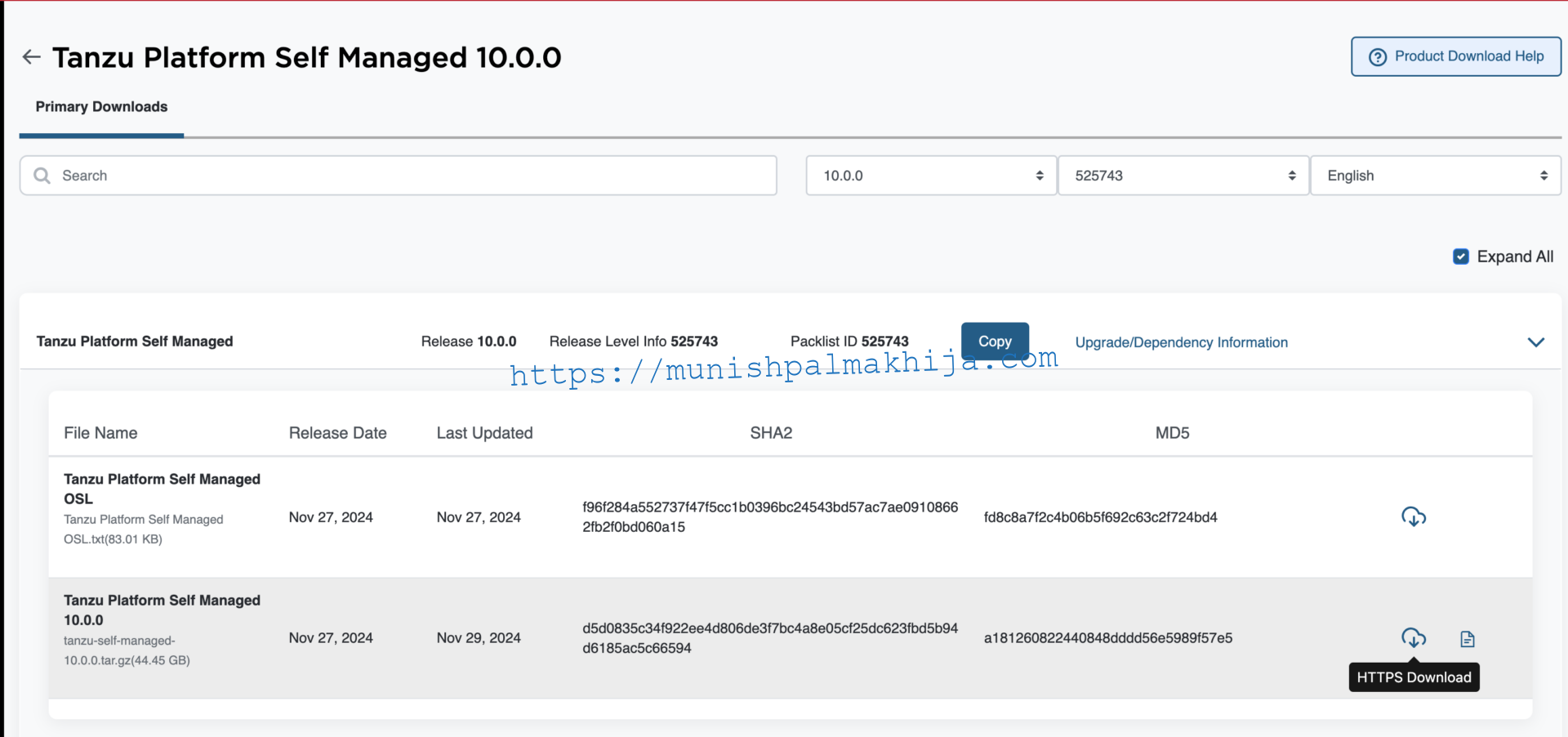 VMware Tanzu Platform 10 Installation Guide