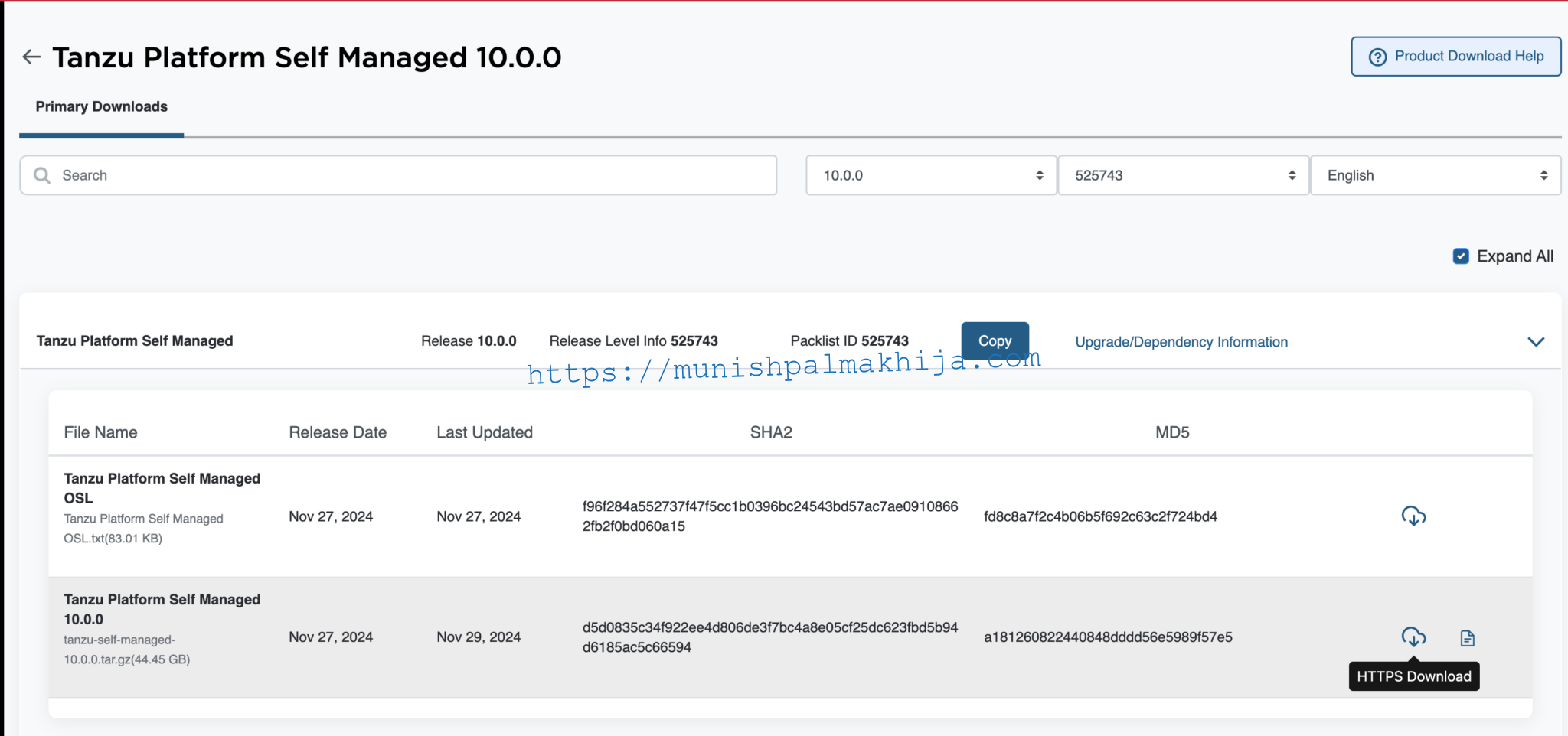 VMware Tanzu Platform 10 Installation Guide
