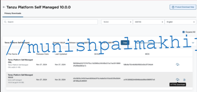 VMware Tanzu Platform 10 Installation Guide