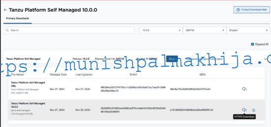 VMware Tanzu Platform 10 Installation Guide