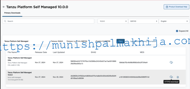 VMware Tanzu Platform 10 Installation Guide