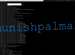 VMware Tanzu Platform 10 Installation Guide